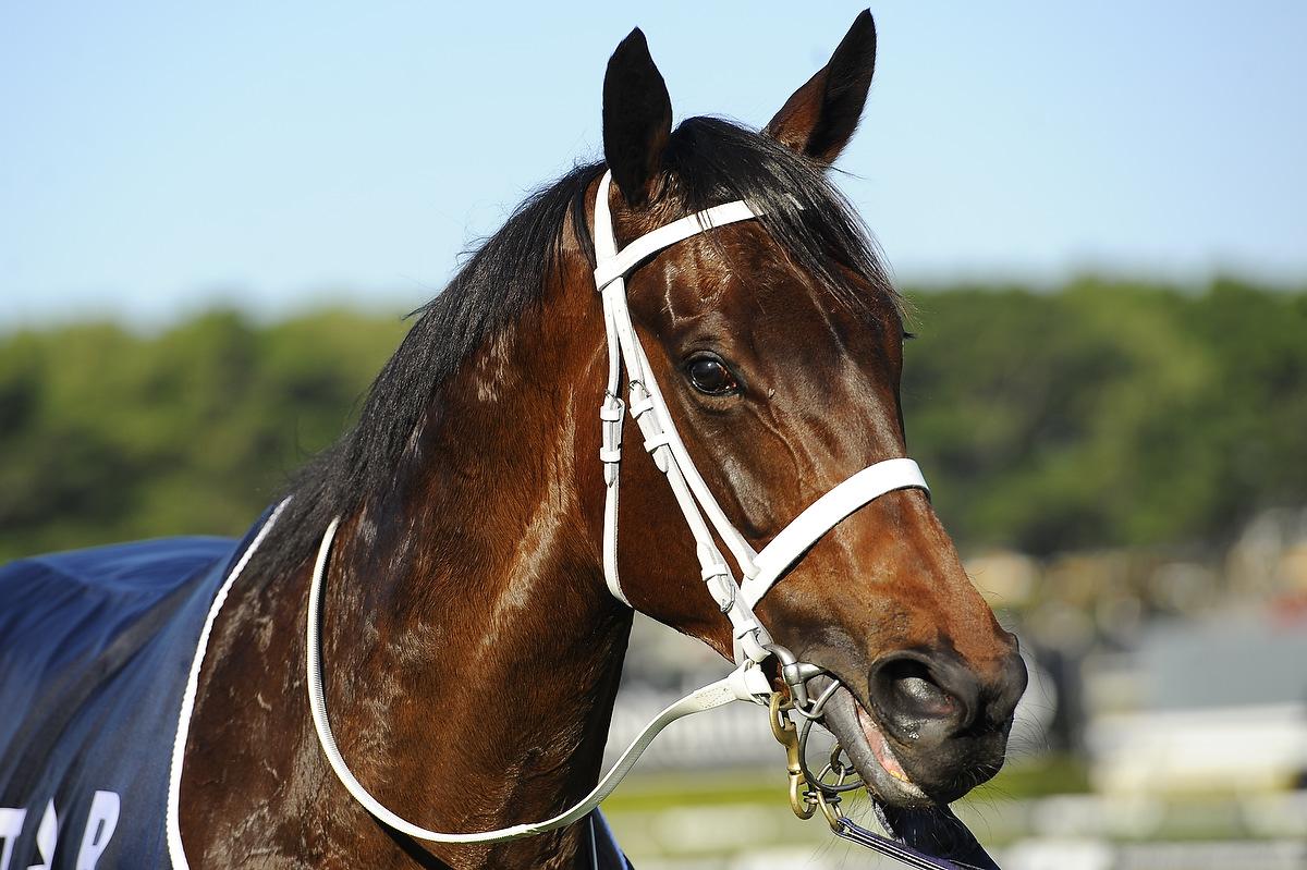 TheRaceGuide.com.au