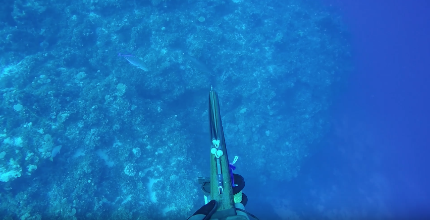 Hunting Dogtooth Tuna with Taylor Slattery - Adreno - Ocean Outfitters