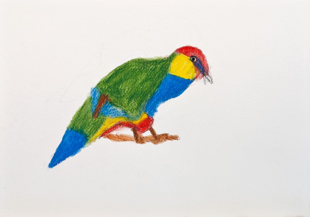 Bird - Tim Maley | Alcaston Gallery