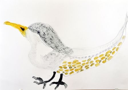 Tern Bird - Tim Maley | Alcaston Gallery