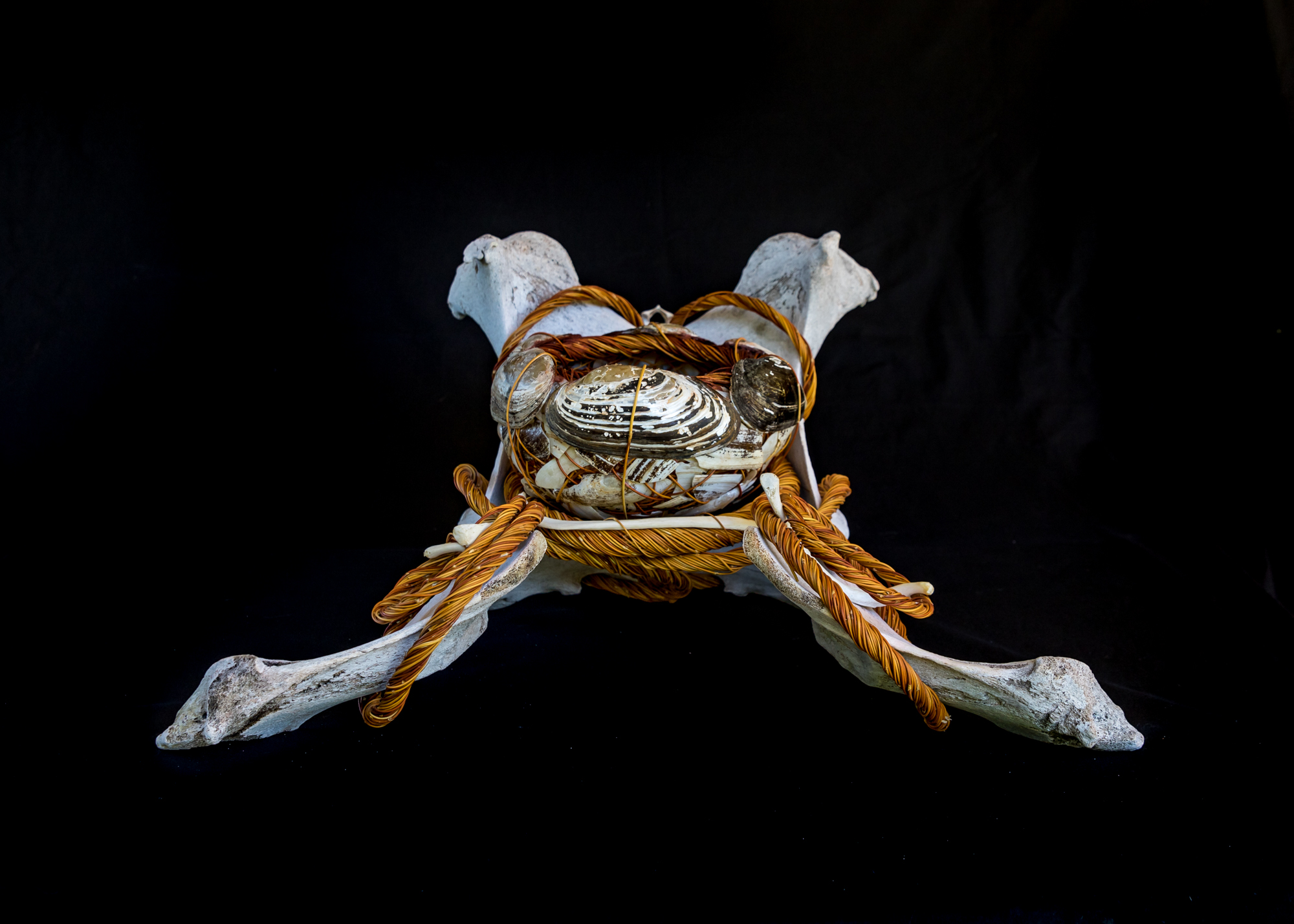 Gilgai - Shirley Macnamara | Alcaston Gallery