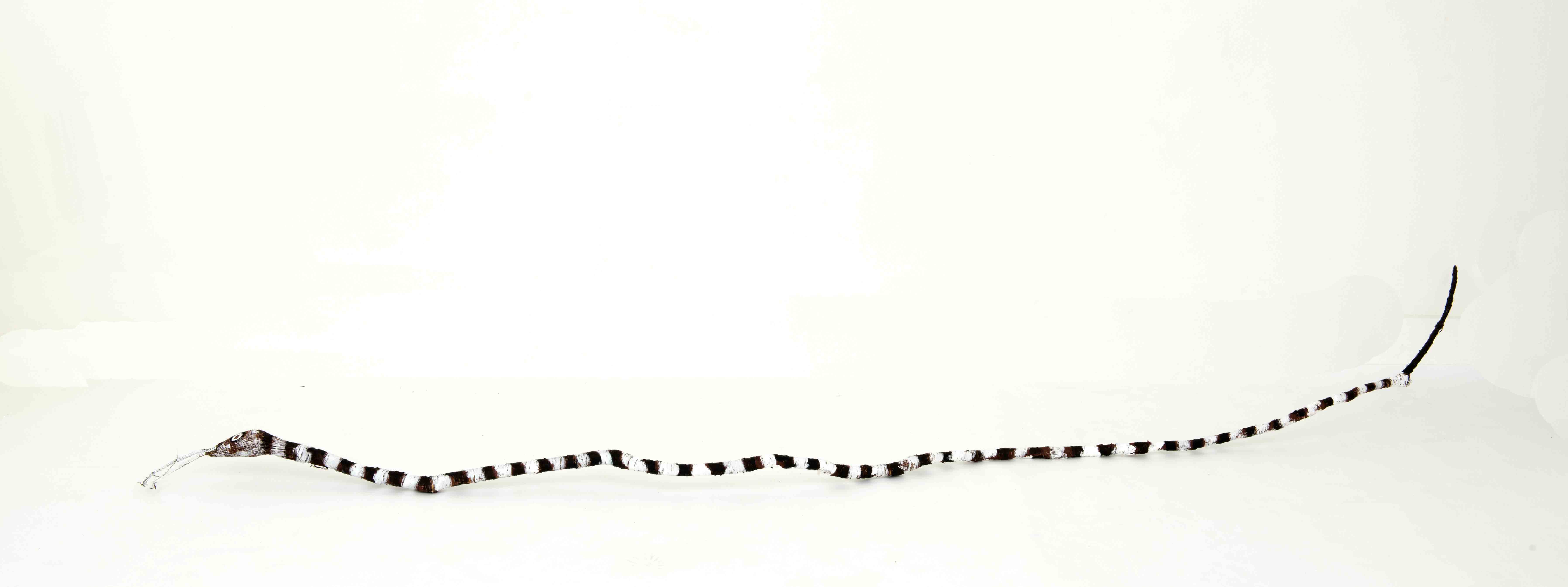 Djurn (black nosed python) - Lena Yarinkura | Alcaston Gallery