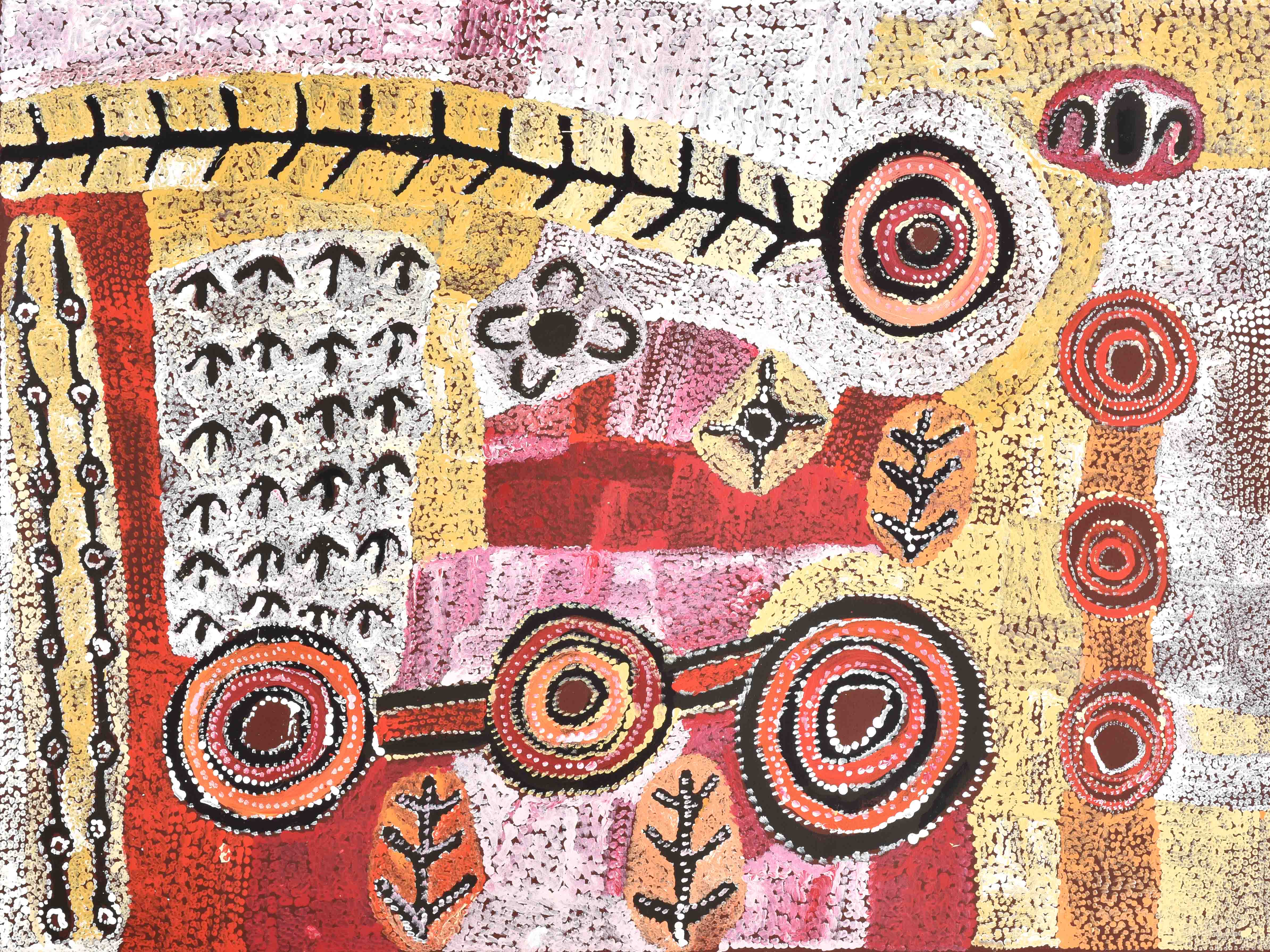 Ngura (Country) - Alec Baker | Alcaston Gallery