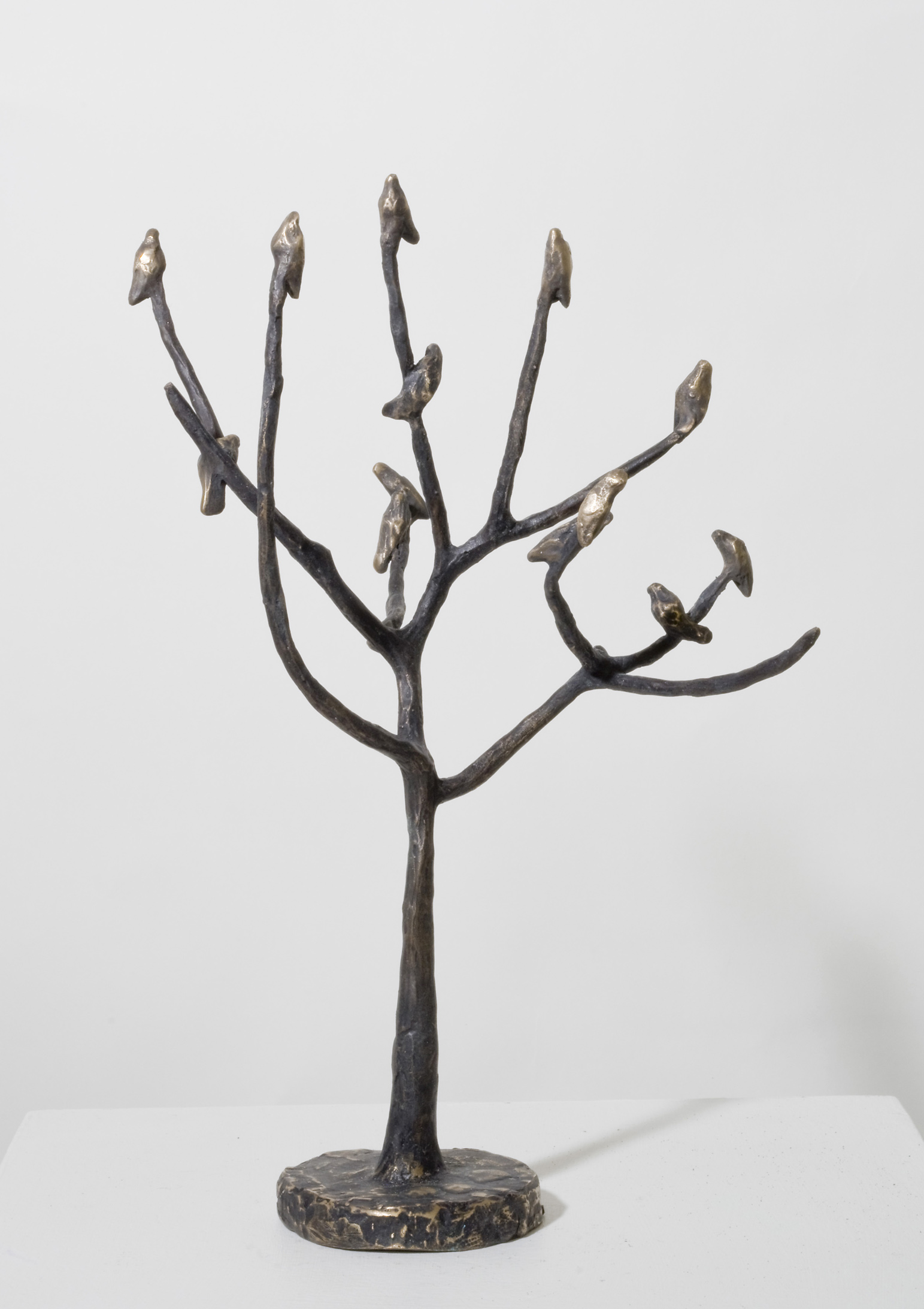 Cat Dam 1 - Judy Holding | Alcaston Gallery