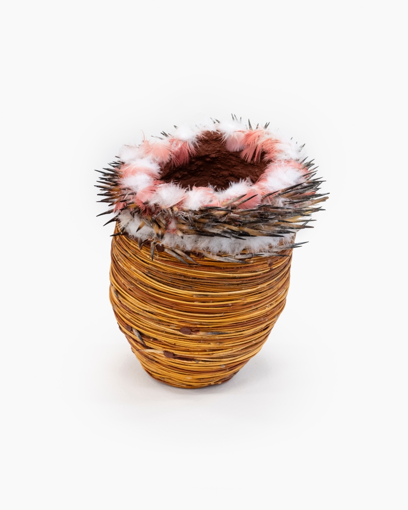 Colours of the Bush - Shirley Macnamara | Alcaston Gallery