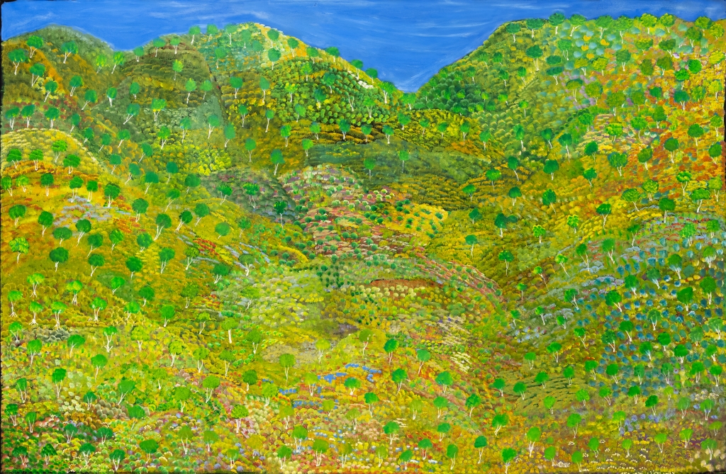 My Country - Ada Pula Beasley | Alcaston Gallery