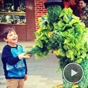 The Man Who Became A Tree – A Million Smiles