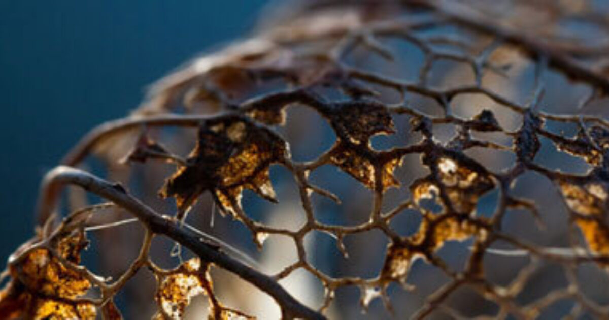 The world feels fragile but we can… | Anglican Church Diocese of Perth