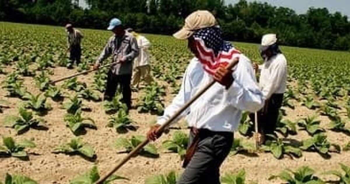 Day Labour | Anglican Church Diocese of Perth