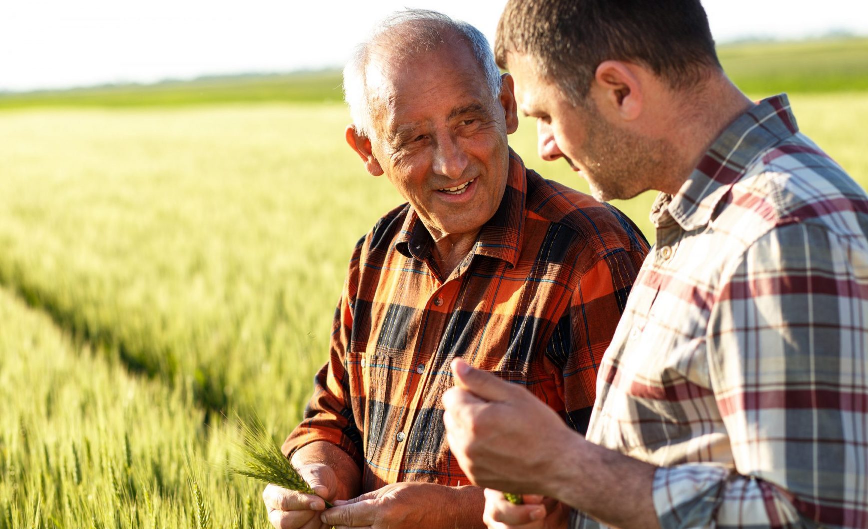 A Typical Crop Claim - Demystified | Country Wide Insurance Brokers