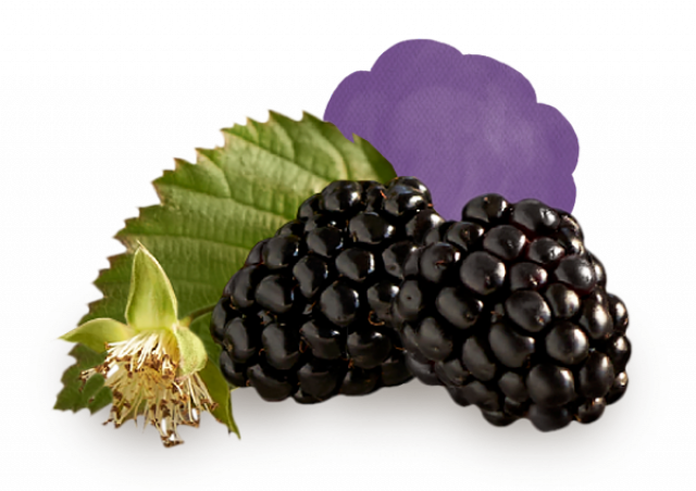 Fresh Berries | Driscoll’s®