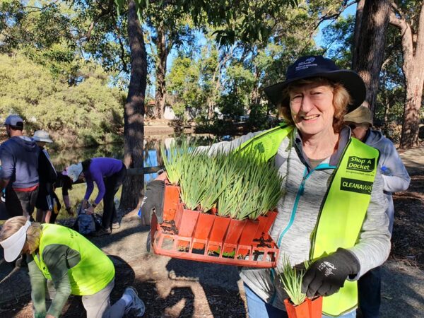 Grown for Purpose 19/20: Spreading the native plant movement across ...