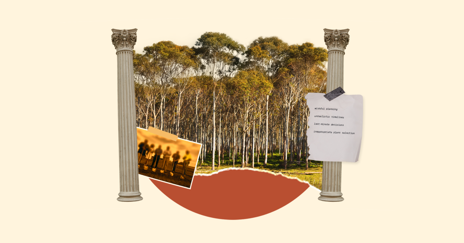 Revegetation Success: How to make good on environmental promises ...