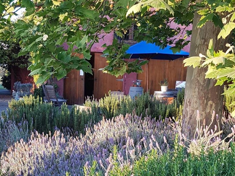 Macquariedale Organic Wines in 170 Sweetwater Road Belford Australia ...