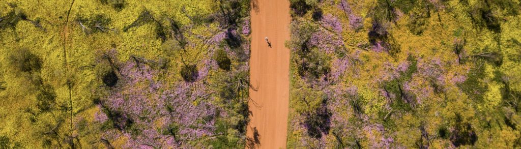 Leave a Bequest - WA Parks Foundation