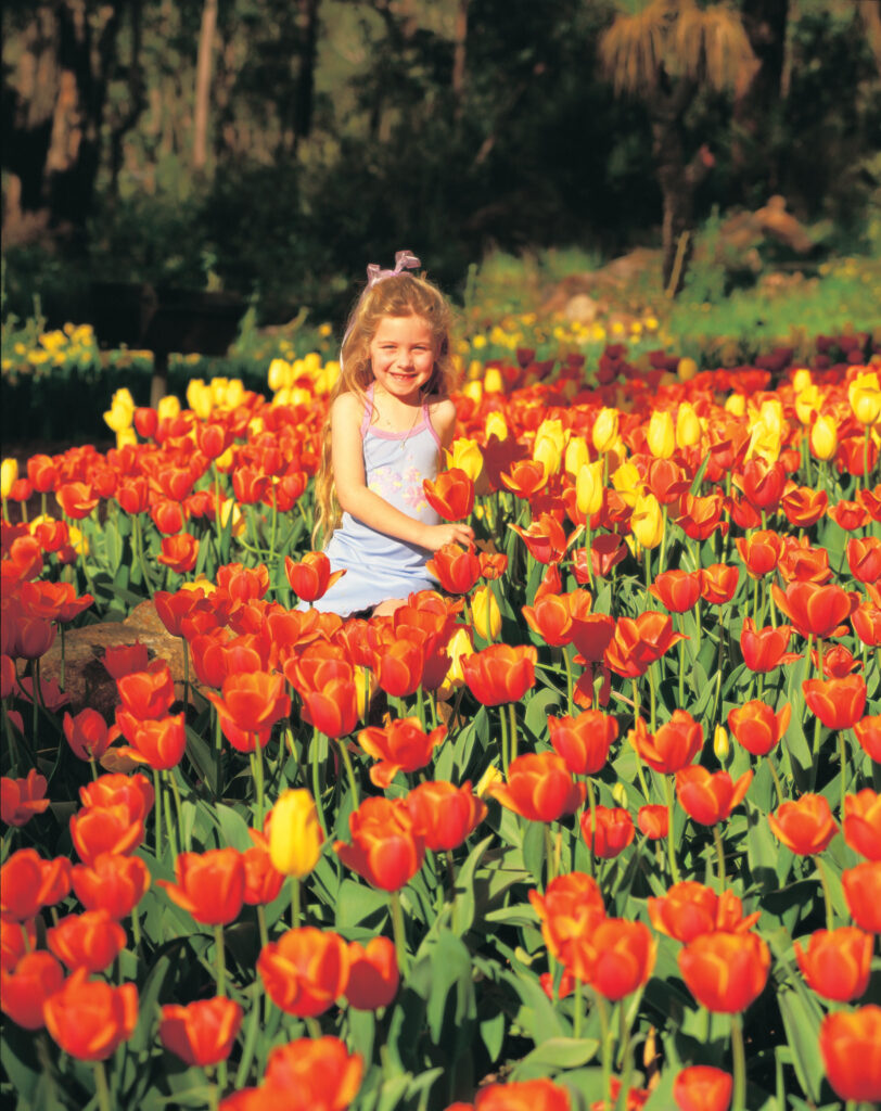 Get Festive This Spring - WA Parks Foundation