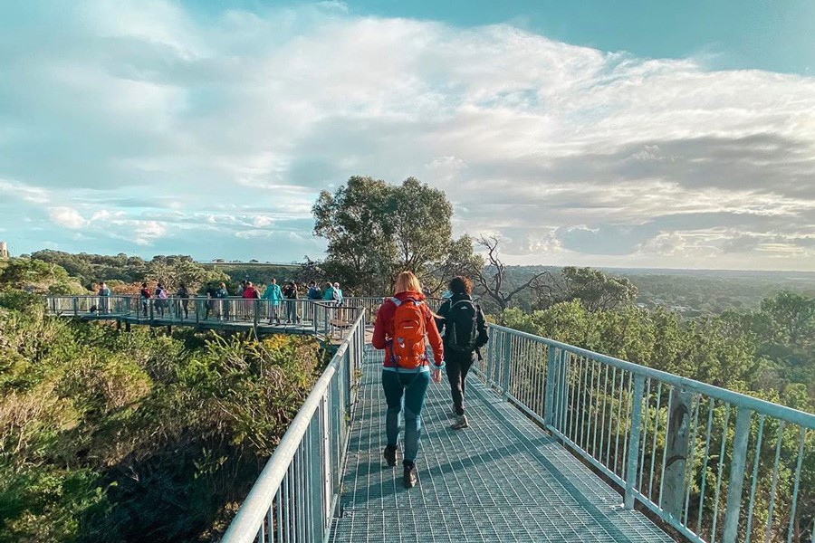 Have your say on Bold Park plan - WA Parks Foundation