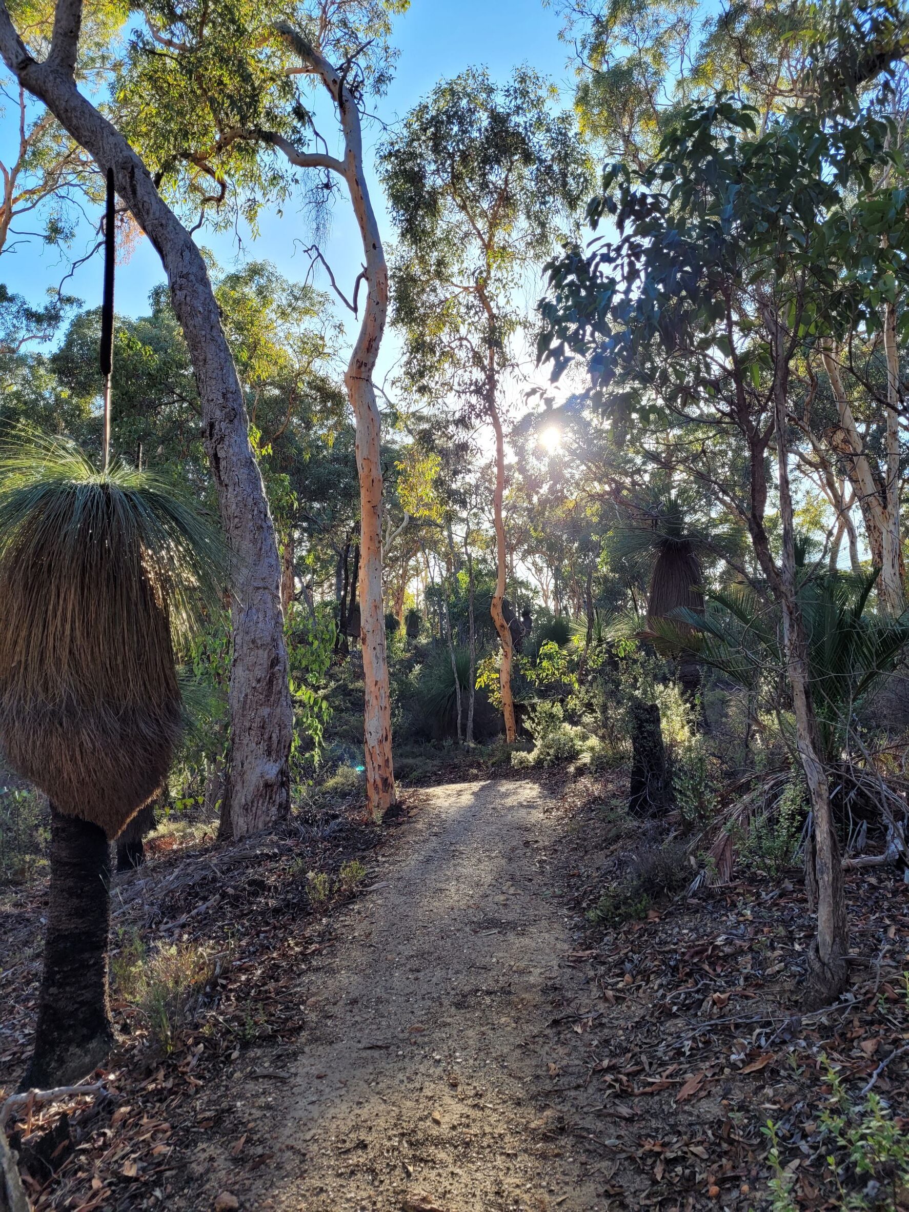 Feature Event: Retreat To The Sanctuary - WA Parks Foundation