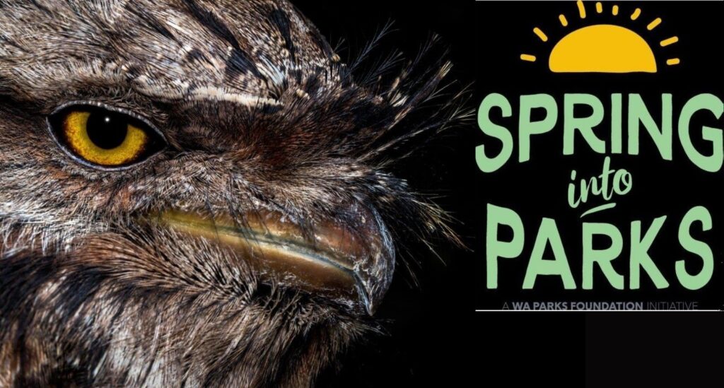 Feature Event: Night Ramble in Yalgorup National Park - WA Parks Foundation