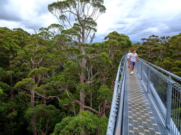 Walpole-Nornalup National Park - WA Parks Foundation
