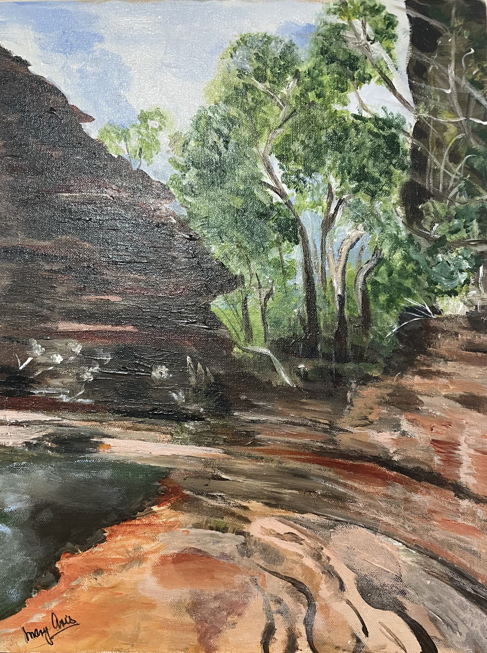 Karijini, with love - WA Parks Foundation