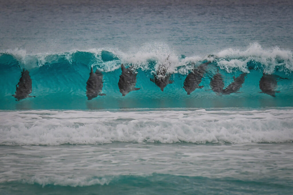 Memorable Moments in Nature photo competition prize winners announced ...