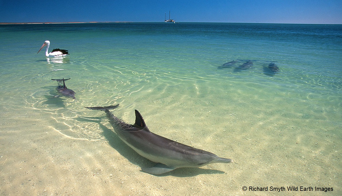 Making the most of your Coral Coast adventures - WA Parks Foundation
