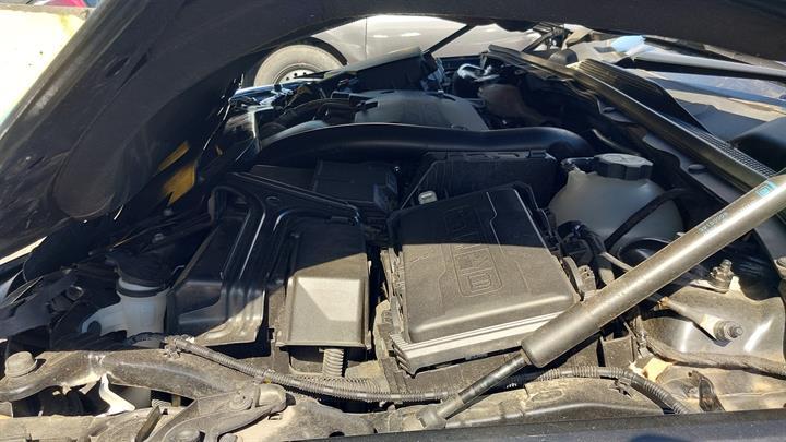 Hatch Strut Commodore Holden 2019