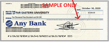 Over the Counter Payment using Any Checks : Tamaraw Easy Assist Hub