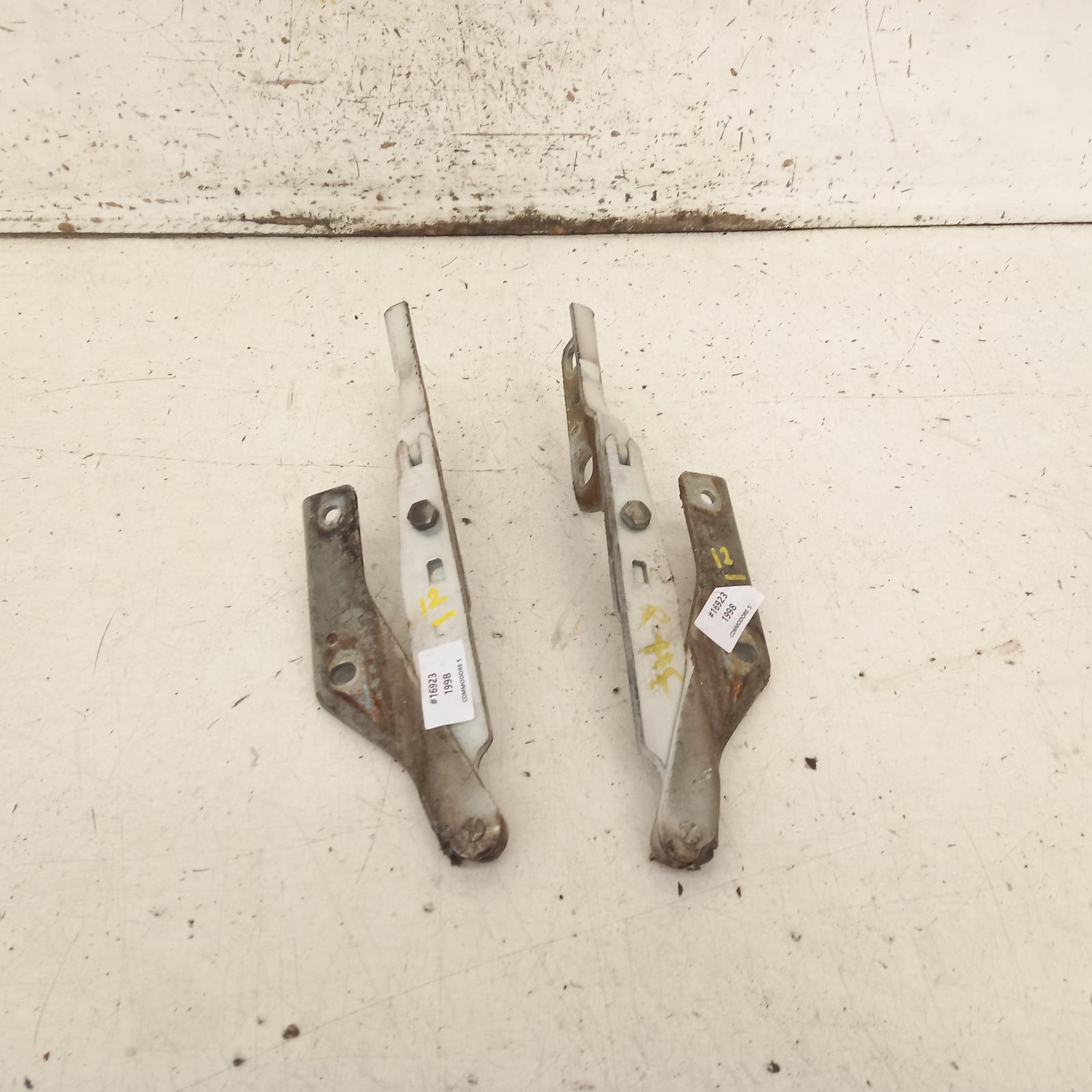 Bonnet Hinge/Strut Commodore Holden 1998