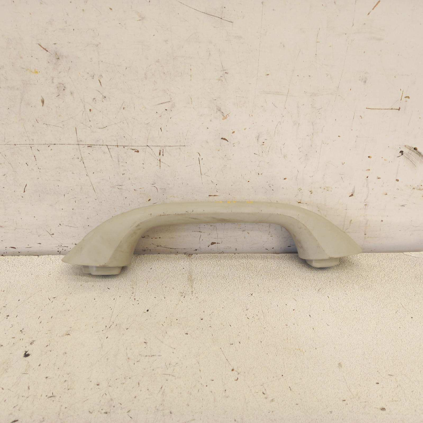 Grab Handle Everest Ford 2021