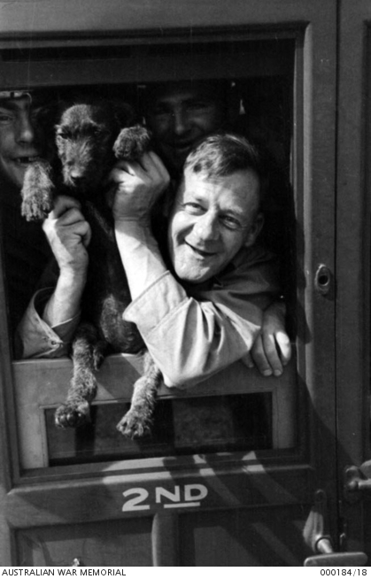 At the Flemington showgrounds, "Cobbers" en route for Puckapunyal ...