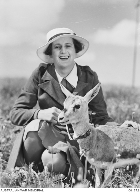 GAZA RIDGE. SISTER MCINTOSH AND A GAZELLE. (NEGATIVE BY D. PARER ...