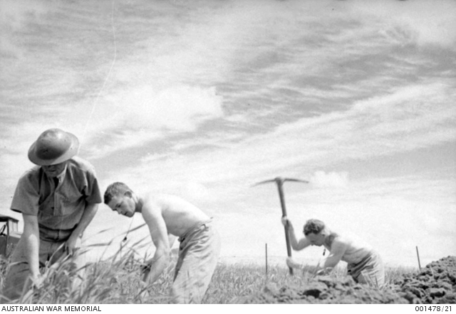 Soldiers digging earthworks prior to Brigade manoeuvres in the ...