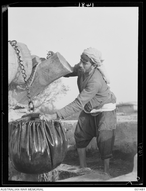NEAR QASTINA - ARAB DRAWING WATER FROM DEEP WELL - THE POWER SUPPLIED ...
