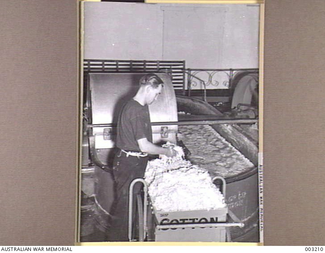 EXPLOSIVES LAB. MARIBYRNONG. FEEDING GUN COTTON INTO MIXER. (NEGATIVE ...