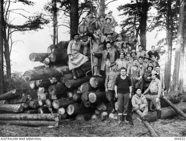 AUSTRALIAN FORESTERS AT WORK IN NORTH BRITAIN: A GROUP OF THE HAPPY AND ...