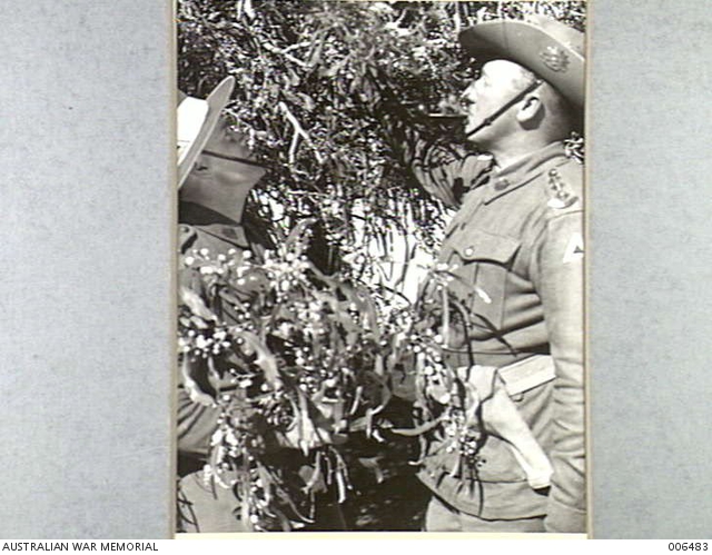 Two diggers make a delightful picture against the wattle. They are ...