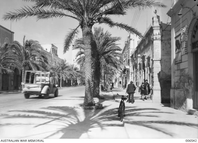 A PALM LINED STREET OF BENGHAZI. | Australian War Memorial