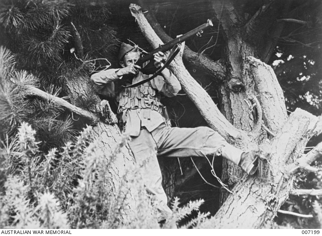 MILITARY TRAINING IN NEW ZEALAND. A SNIPER PRACTICING FROM A TREE ...
