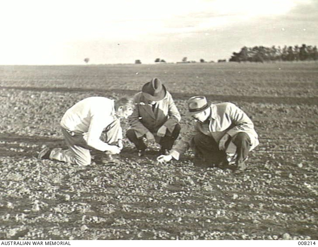 SELECTED AREAS OF AUSTRALIAN FARMLANDS HAVE BEEN TURNED OVER TO FLAX ...