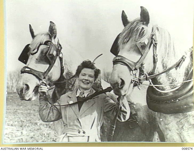 MISS DOROTHY EMERSON WITH HER PLOUGHING HORSES. (NEGATIVE BY B.M.I ...
