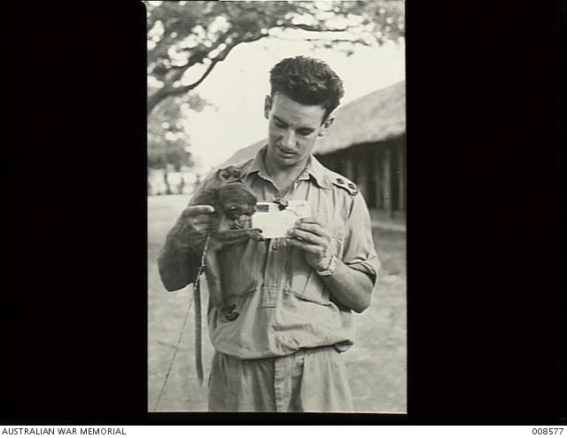Syria. A member of the AIF holding his pet monkey. | Australian War ...