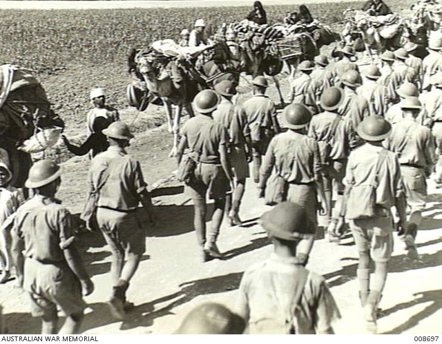 LIKE WANDERING BEDOUINS AN AIF BATTALION THAT HAS SEEN MUCH HARD ...