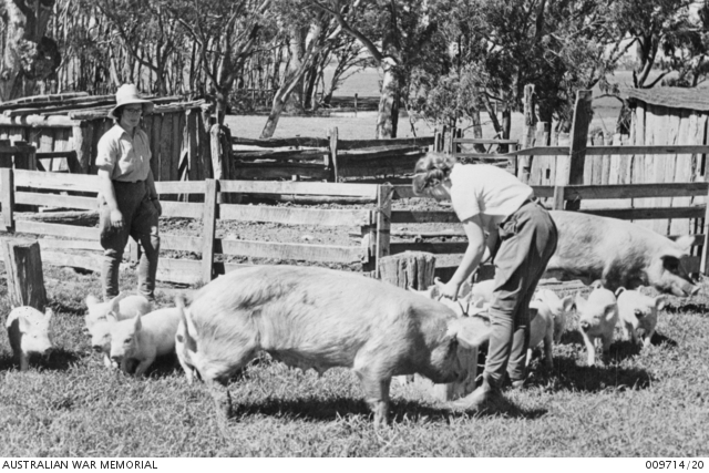 Men from Australia's rural districts have "joined up for the duration ...