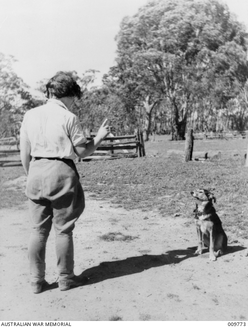 Men from Australia's rural districts have "joined up for the duration ...