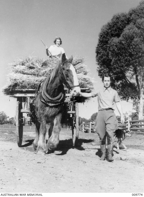 Men from Australia's rural districts have "joined up for the duration ...