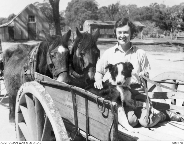 Men from Australia's rural districts have "joined up for the duration ...