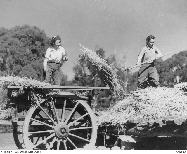 Men from Australia's rural districts have "joined up for the duration ...