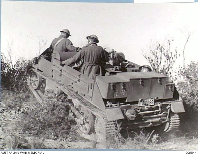 MANOEUVRES ON NEW SOUTH WALES COAST. BREN GUN CARRIERS IN ACTION. THEY ...